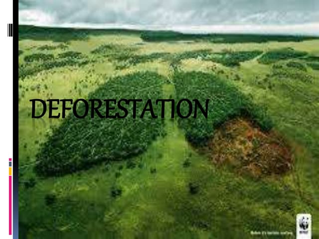 Deforestation | PPTX
