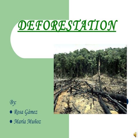 Deforestation | PPT