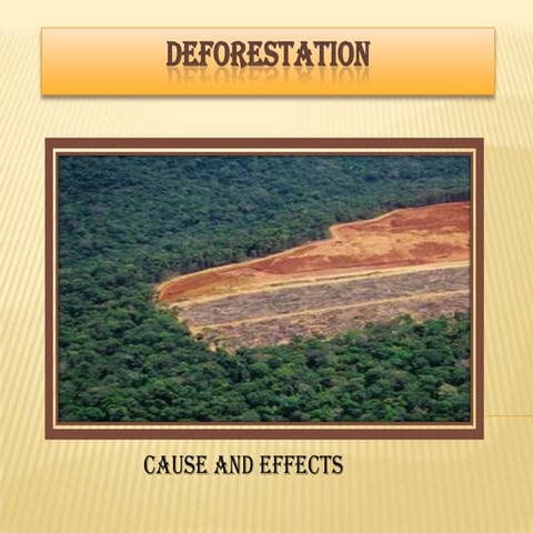 Deforestation | PPTX | Agriculture | Industries