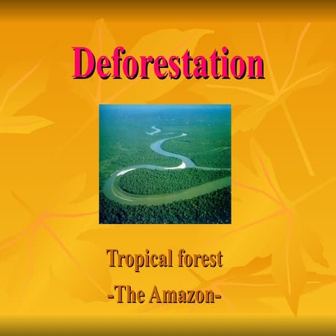 Deforestation of the Amazon | PPT | Environment | Science