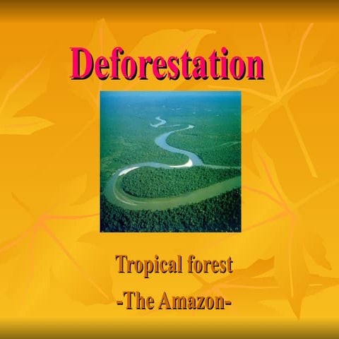Deforestation of the Amazon | PPT