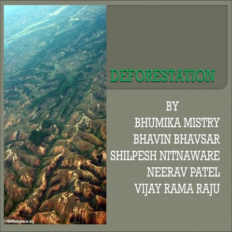 Deforestation | PPT