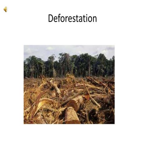 Deforestation | PPTX