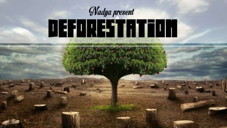 Stop Deforestation