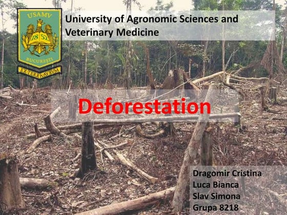 Deforestation - Causes, Effects and Solution | PPT