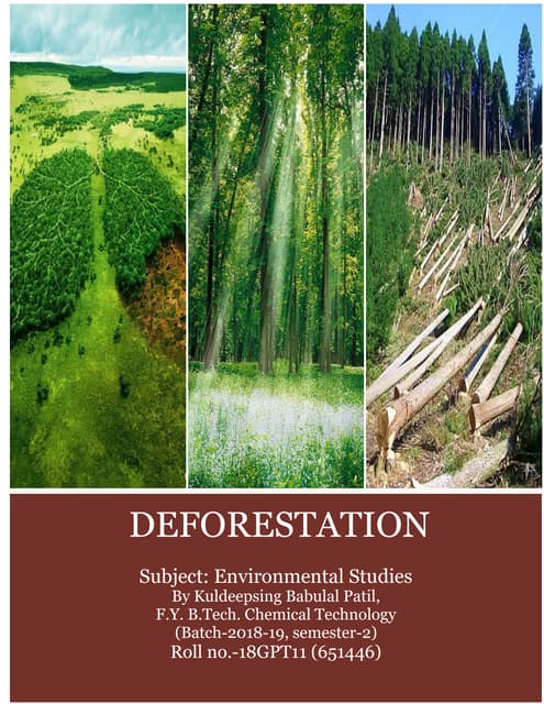 Deforestation - Causes, Effects and Solution | PPT