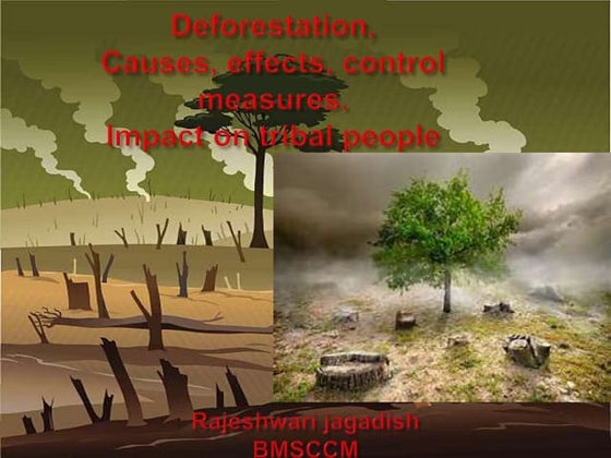 Deforestation | PPTX | Agriculture | Industries