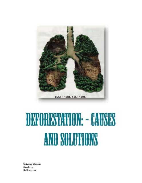 Deforestation ppt | PPT