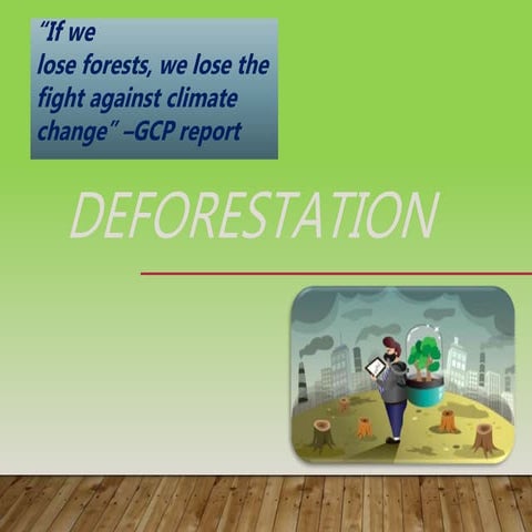 Deforestation! | PPTX