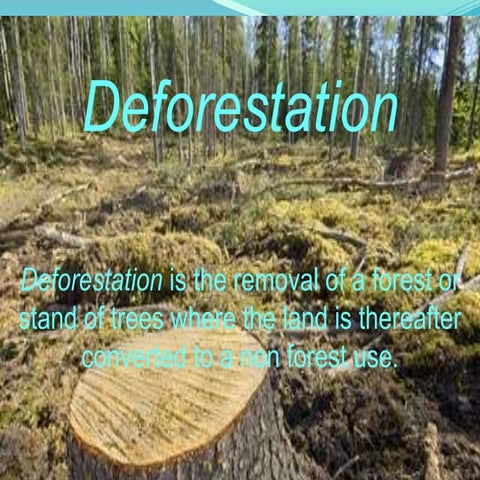 Deforestation.pptx