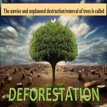 Deforestation | PPTX