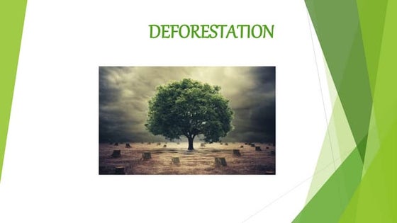 Deforestation | PPTX | Agriculture | Industries