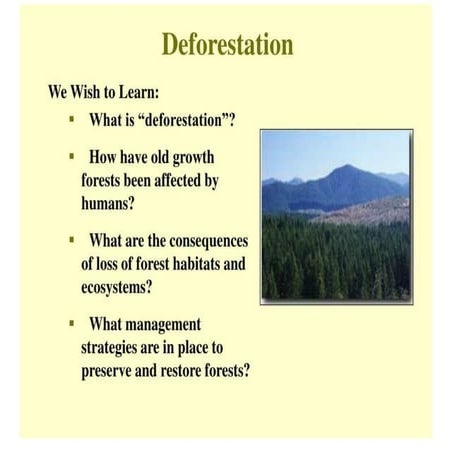 Deforestation | PDF