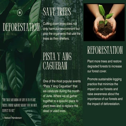 --Deforestation and Restoration Brochure- | PDF