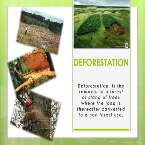 Deforestation 6 b pallares | PPT