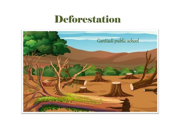 Deforestation | PPT