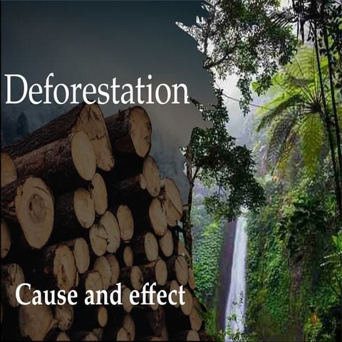 environmental science topic on deforestation cause and effect examples ...