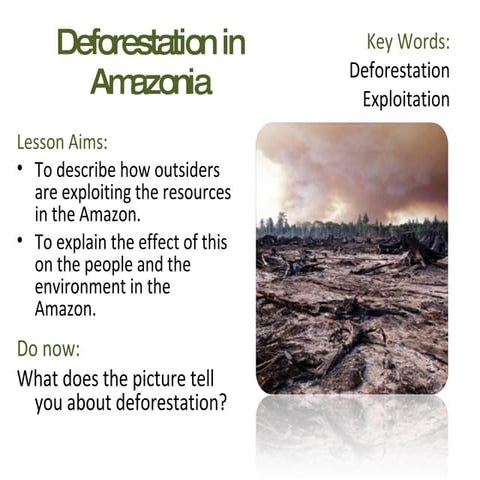 Gido Watch - Solutions to deforestation | PPT