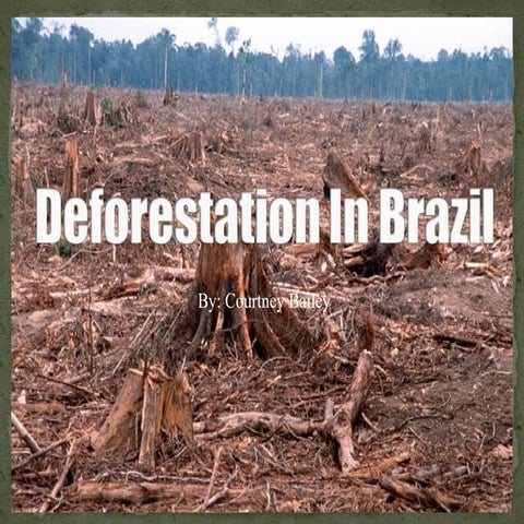 Deforestation In Brazil | PPT