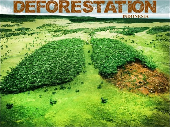 A presentation about deforestation | PPTX