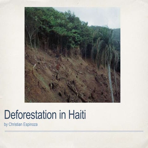 Deforestation in haiti | PPTX