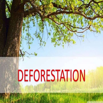 What is Deforestation? | PPTX