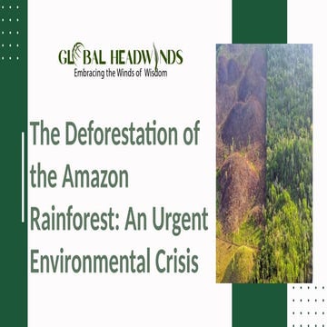 Deforestation of the Amazon Rainforest-Global Headwinds | PPT