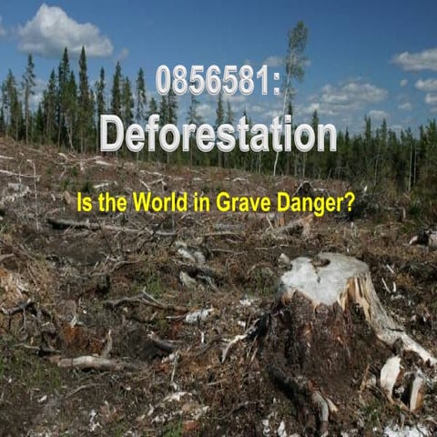 Deforestation Powerpoint[1] | PPT