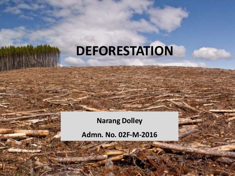 Deforestation ppt
