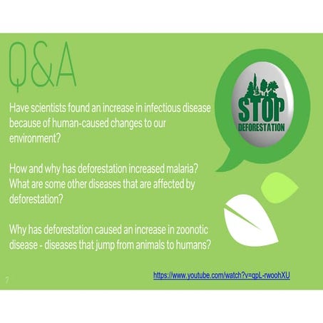Deforestation Questions to Take into Consideration | PDF