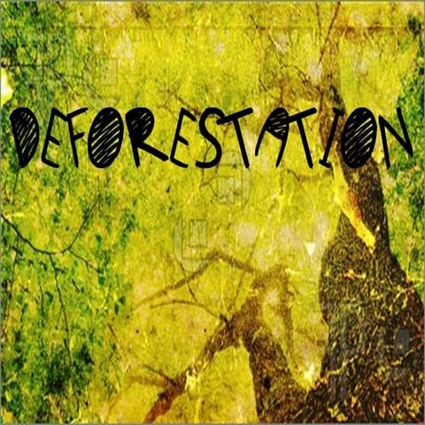 Deforestation | PPT
