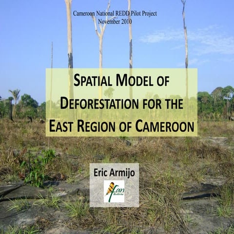 Spatial model of deforestation for the East Region of Cameroon | PDF