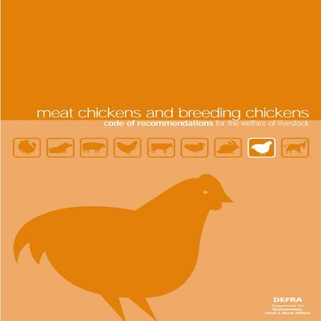 Defra meat chickens breeding welfare code standard | PDF