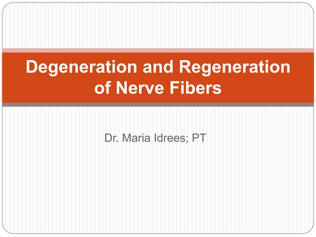 Wallerian degeneration and regeneration | PPTX