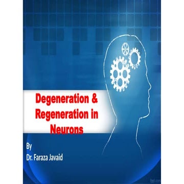 DEGENERATION & REGENERATION IN NEURONS.pptx
