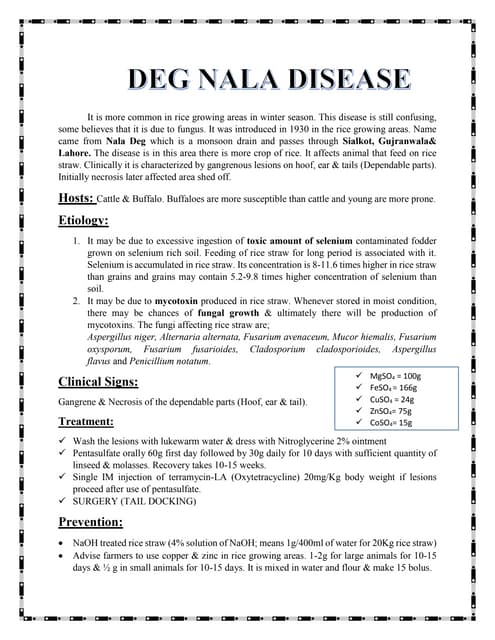 Cardiovascular system of goat | DOCX | Heart and Cardiovascular ...