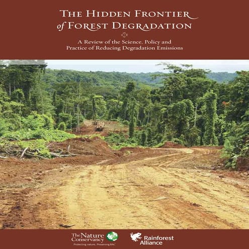 Environmental problems in south asia | PPTX