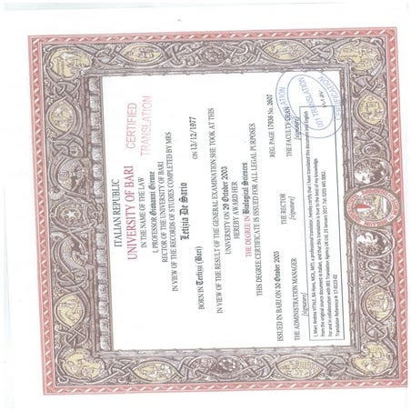 Master's Degree | PDF