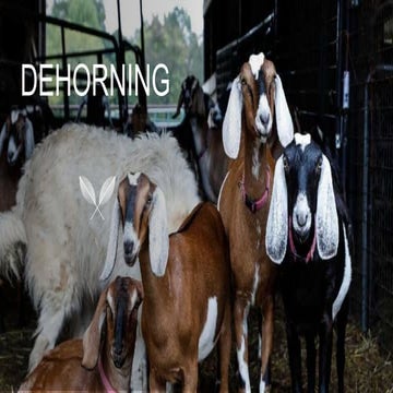 DEHORNING.pptx