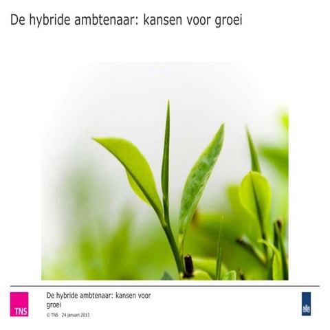 De hybride ambtenaar | PPT