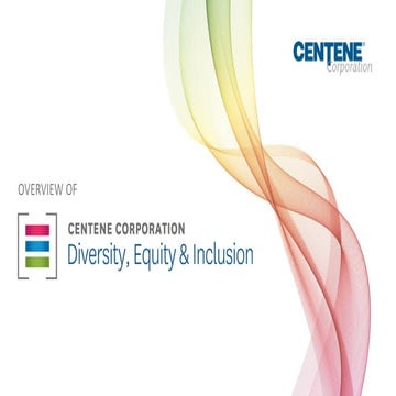 DEI Office_COE Overview PowerPoint Slideshow | PDF