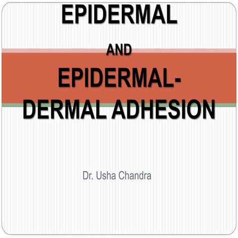 Dermo Epidermal Junction Pptx
