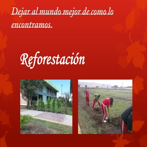 Proyecto de reforestacion | DOCX