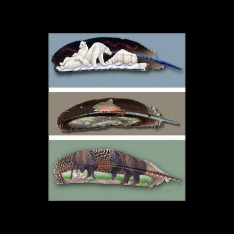 Dekoruotos Plunksnos | PPT