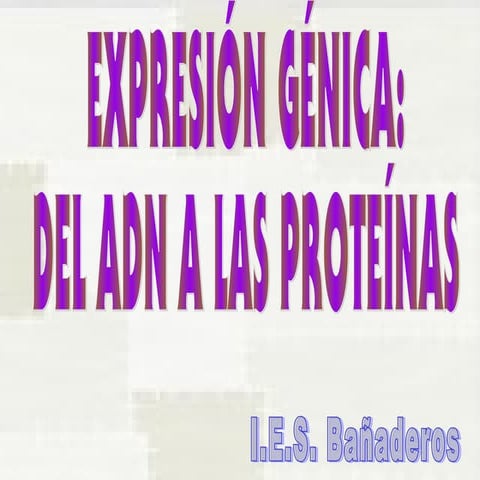 Del adn-a-las-proteinas | PPT