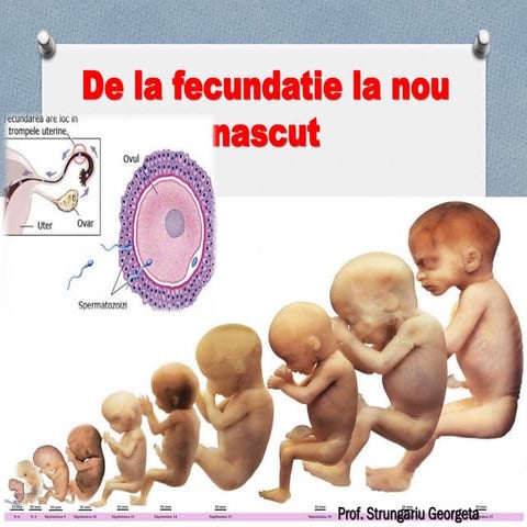 De la fecundatie la nou nascut.pdf