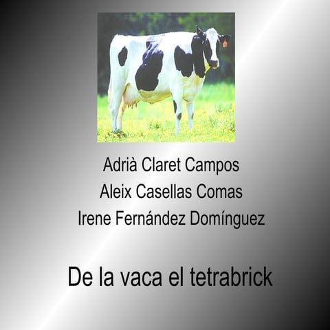 De La Vaca El Tetrabrick.Power Point | PPT