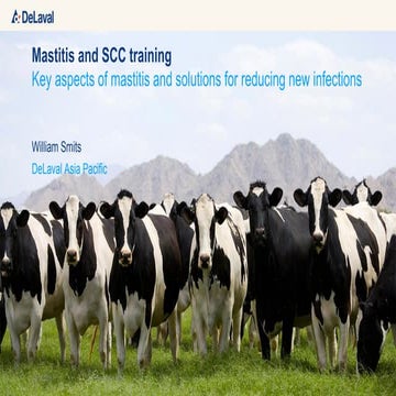 Delaval mastitis and scc training ppt | PDF