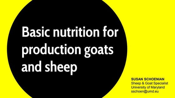 Sheep and Goat feeding .pptx | Veterinary Medicine | Pets