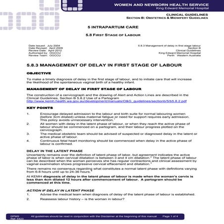 WHO user's manual labour care guide.pptx